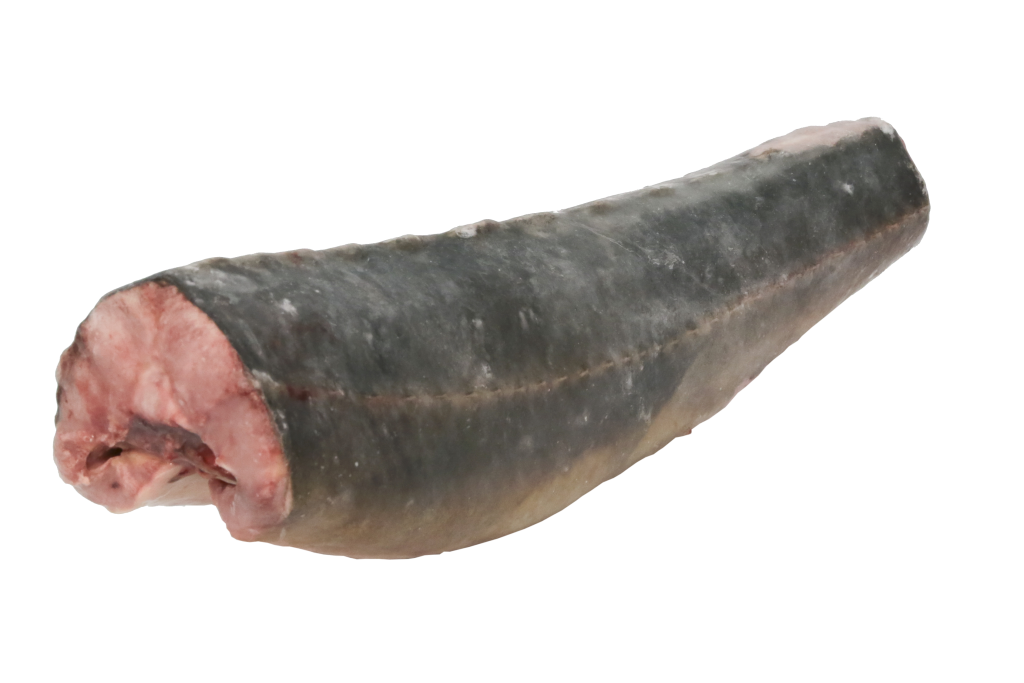 Trunchi de Morun de Dunare congelat - Delta Fish